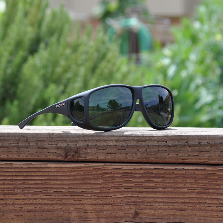 Aviator (XL) Black Polarized Photo Gray| Cocoons