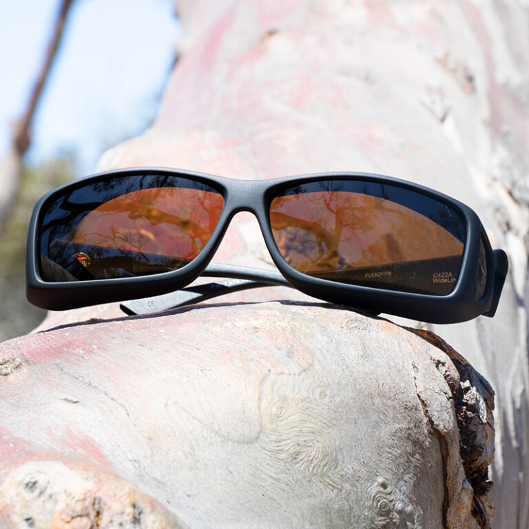 Wide Line (ML) Black Polarized Amber| Cocoons