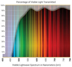 Pilot (L) Black Lemon UV Filters| Cocoons